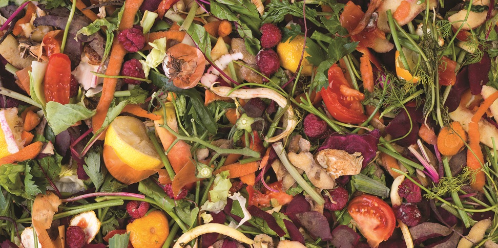 Hauling Your Way Through Senate Bill 1383: How to Navigate Hauler ...