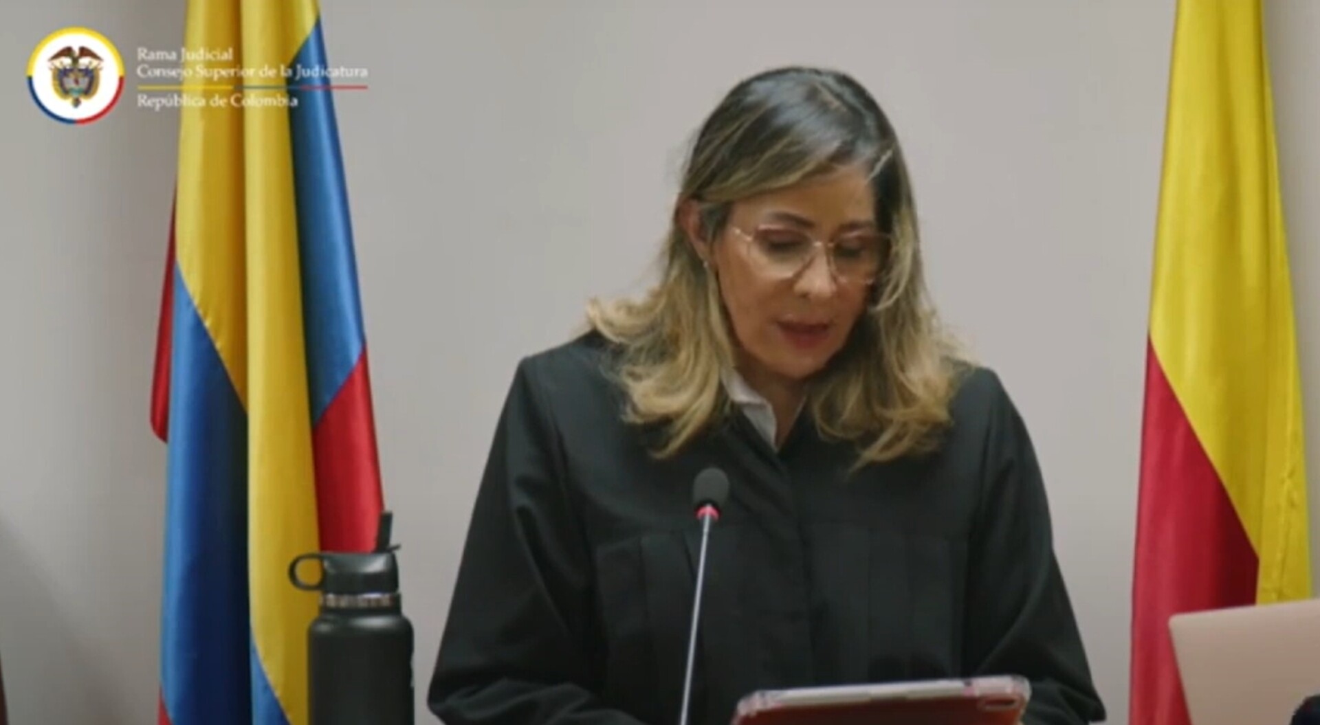 "La justicia no se arrodilla ante el poder": jueza Sandra Heredia | El Cronista | Periodismo de ...