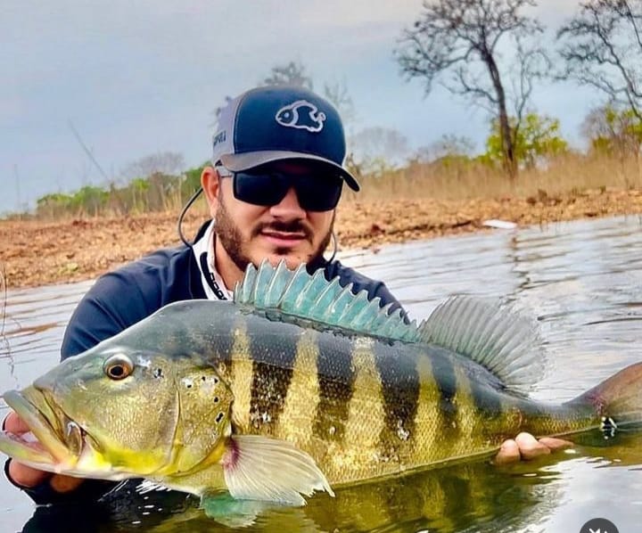 Tucunaré Azul Serra da Mesa