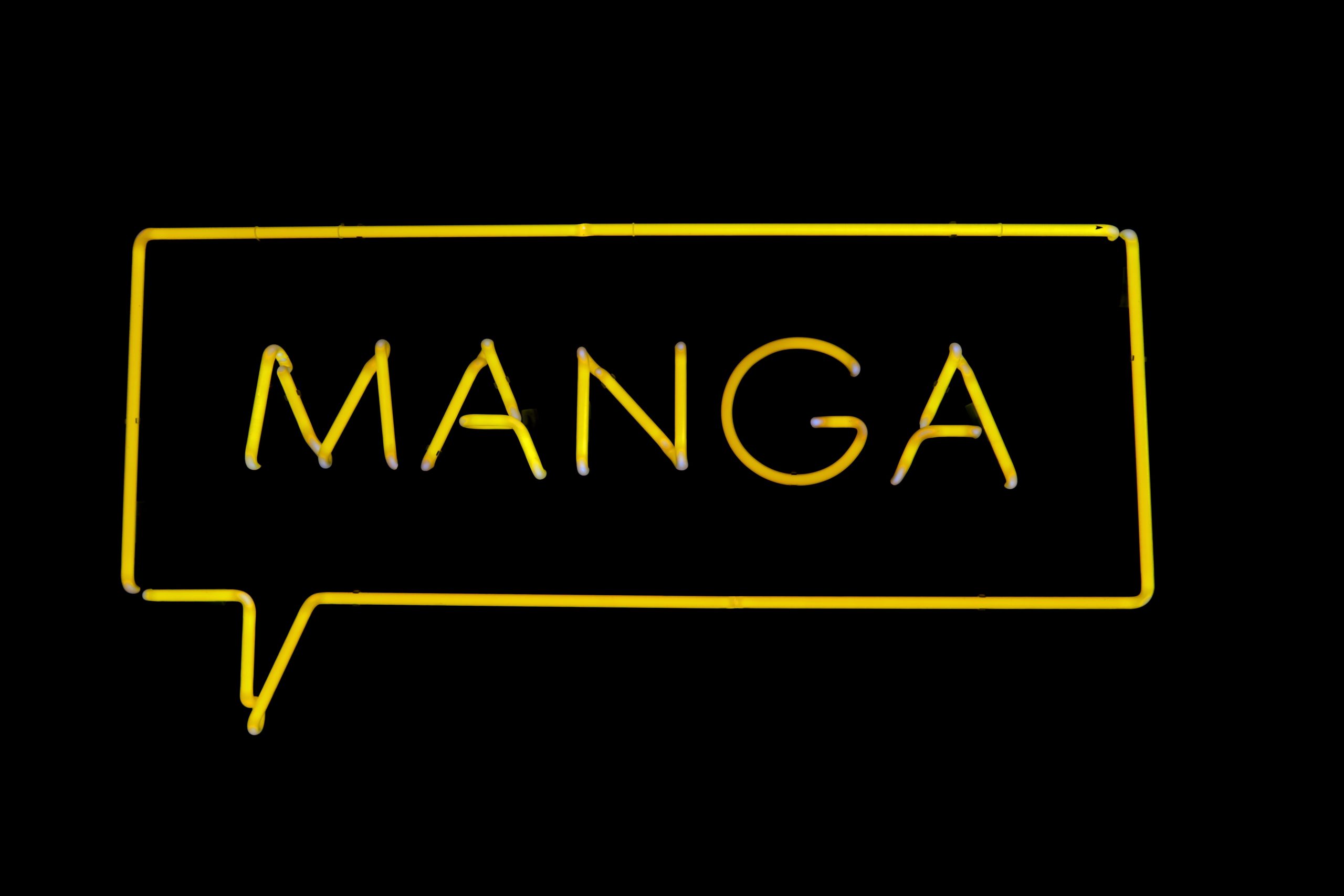 A Beginner's Guide To Drawing Amazing Manga Characters