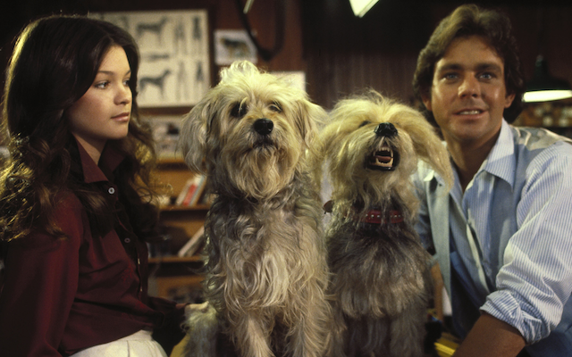 'C.H.O.M.P.S.' Blu-Ray Review - How Can You Not Love A Crime-Fighting ...