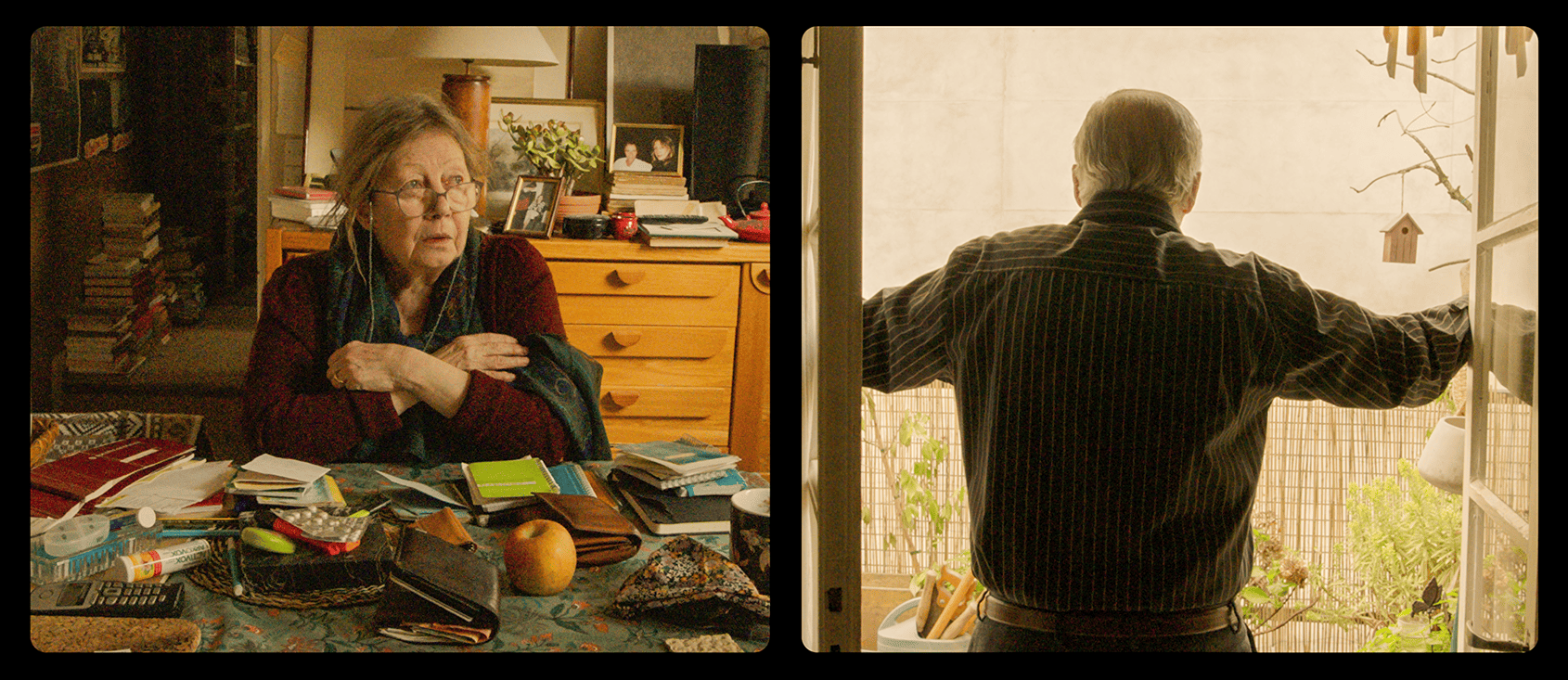 'Vortex' Blu-Ray Review - Gaspar Noé Crafts A Heartbreaking Portrait Of ...