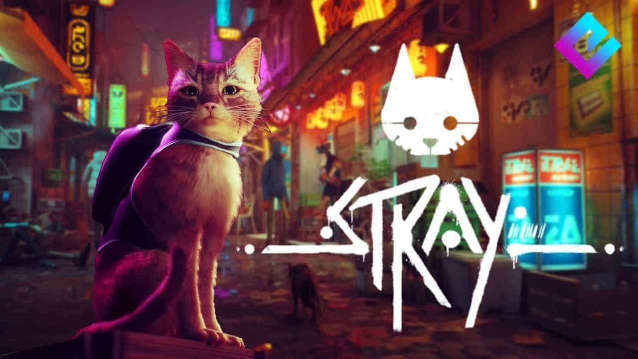 Game Review: 'Stray' Is An Enjoyable Story That Holds Your Attention ...