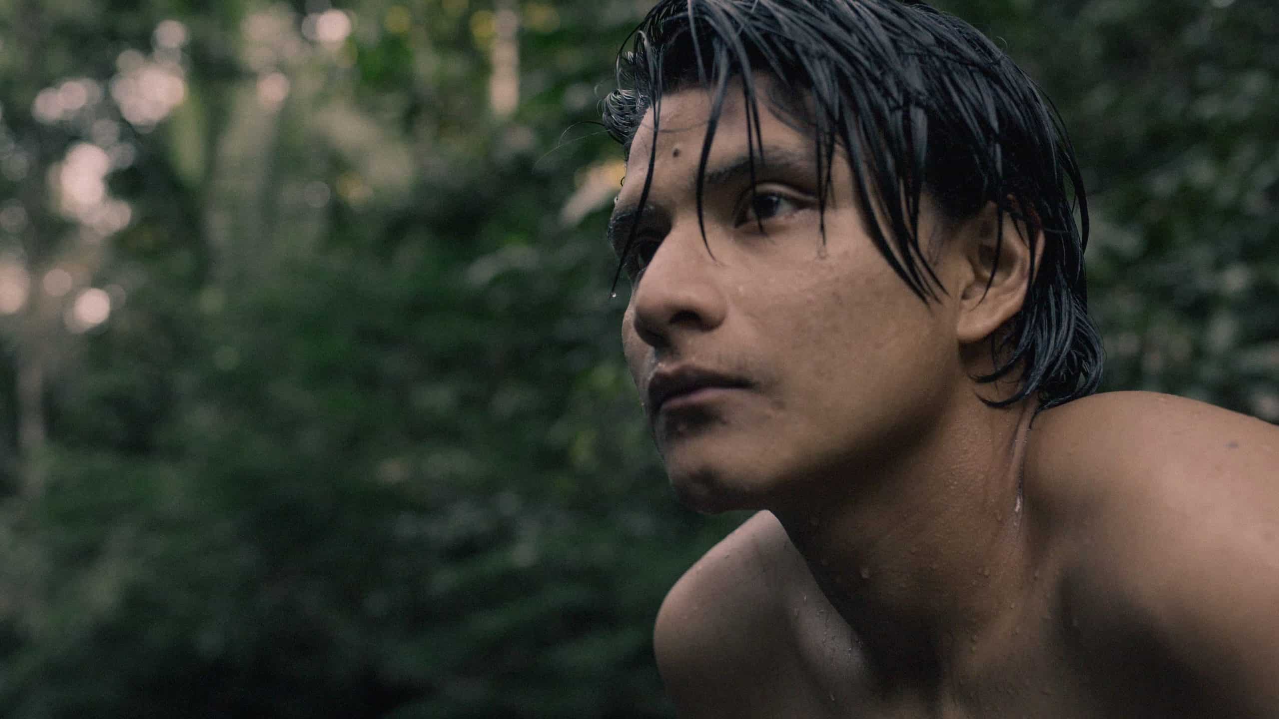 'The Territory' Review - A Harrowing, Vital Story of Indigenous ...