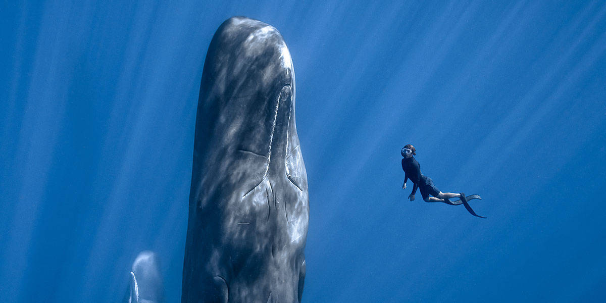 ‘Patrick and the Whale’ TIFF 2022 Interview - Director Mark Fletcher ...