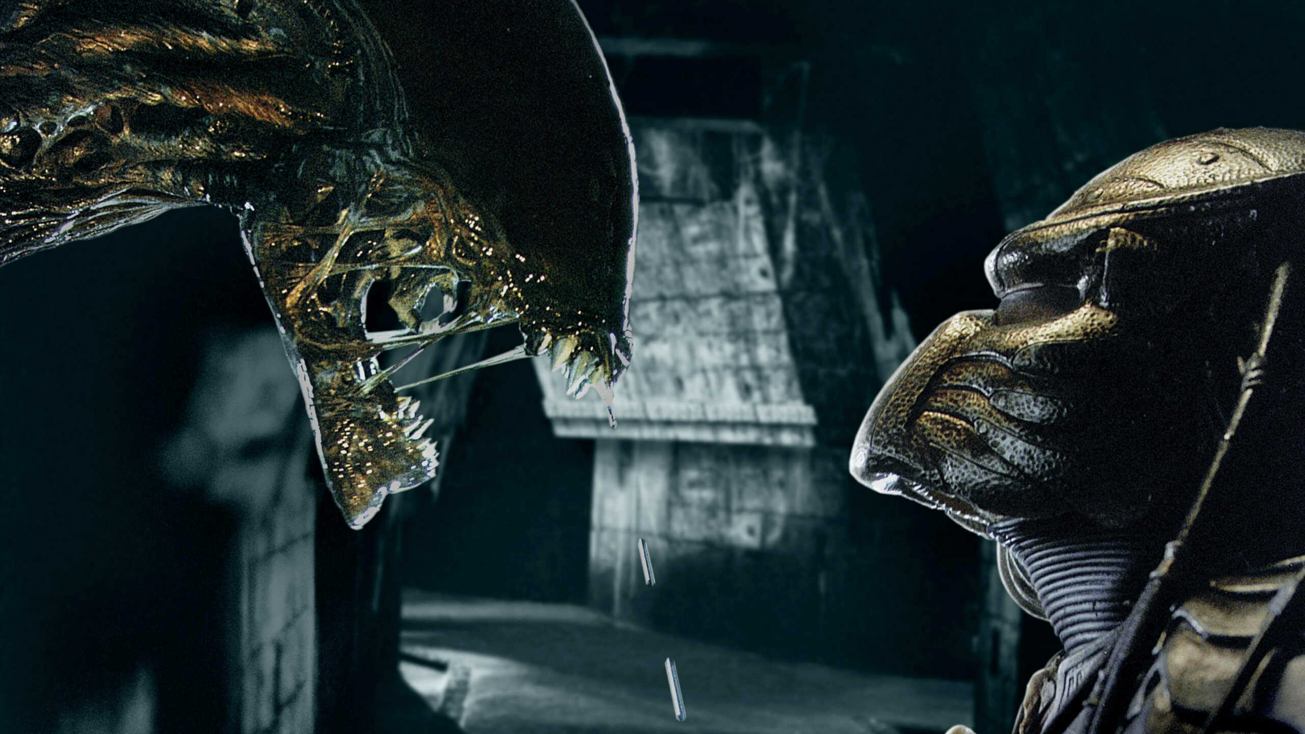 Disney Reportedly Holds A Finished Alien vs. Predator Anime Series ...