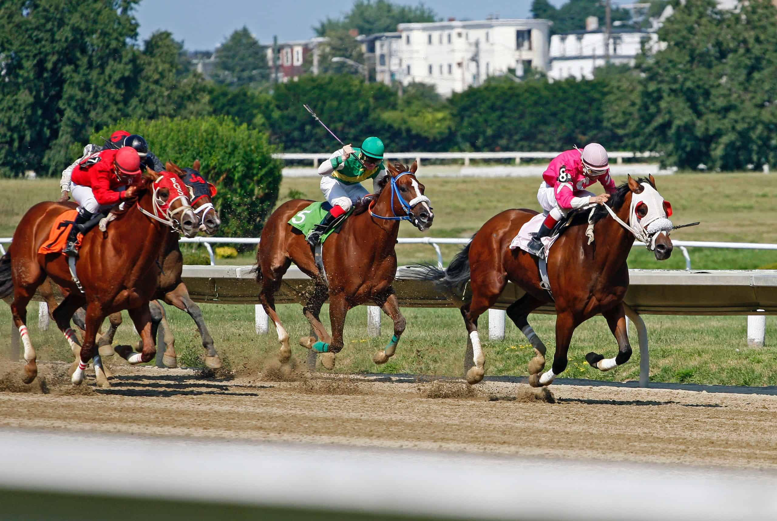 Experience The Thrill: 6 Upcoming Horse Races At Ellis Park