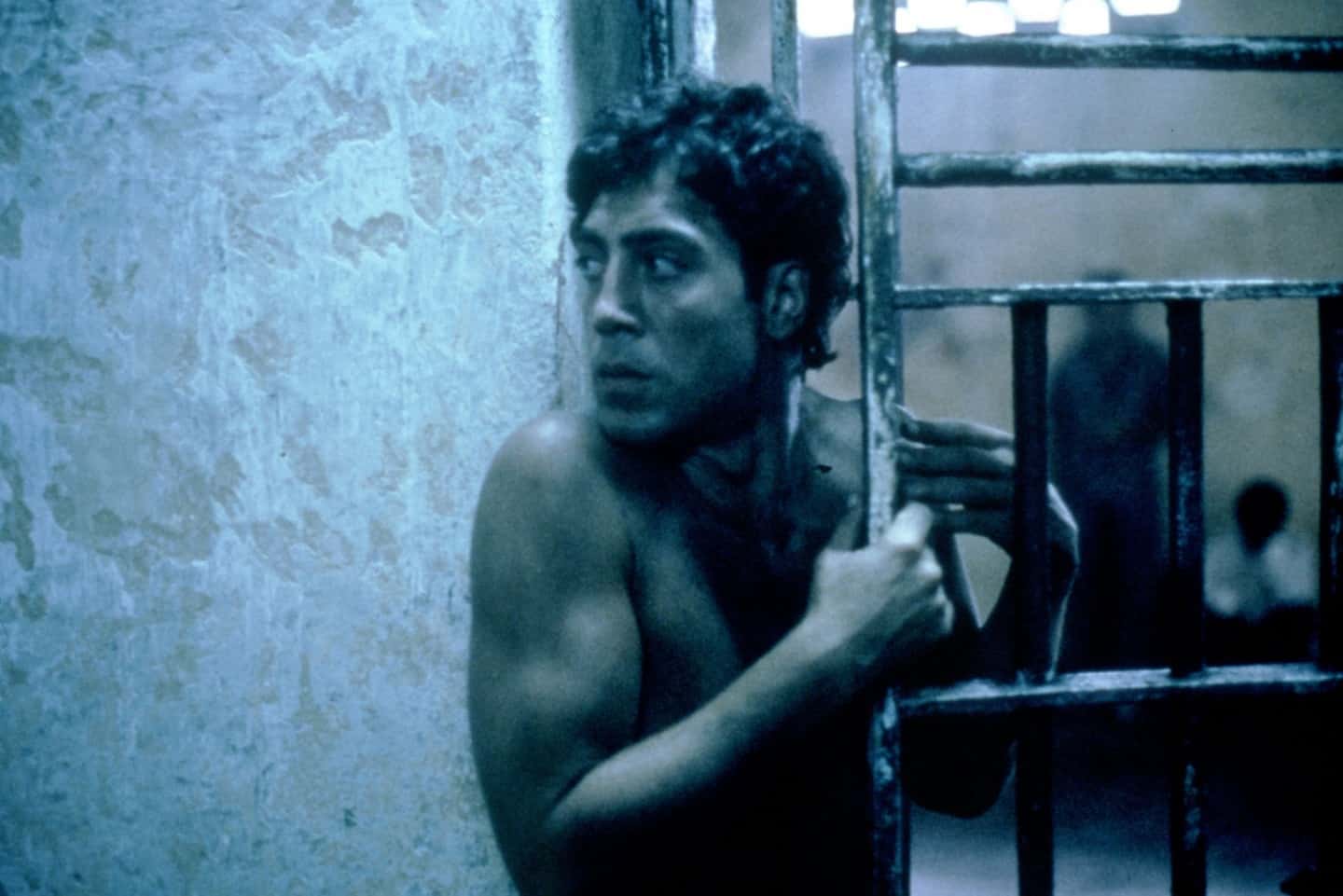 'Before Night Falls' Blu-Ray Review - Javier Bardem Ascends With A ...