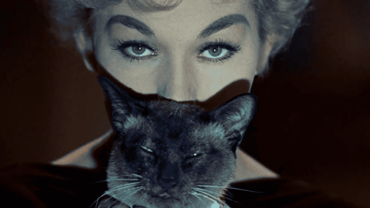 'Bell, Book & Candle' Blu-Ray Review - Christmas Charm Blends With ...