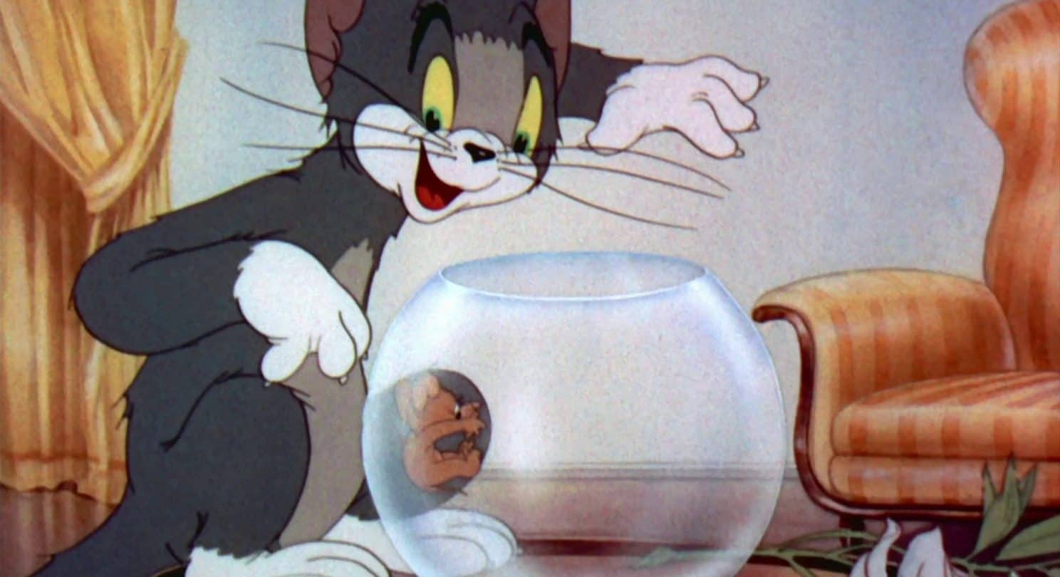 Tom & Jerry: Golden Collection, Volume 1 Blu-Ray Review - Beloved Cat ...