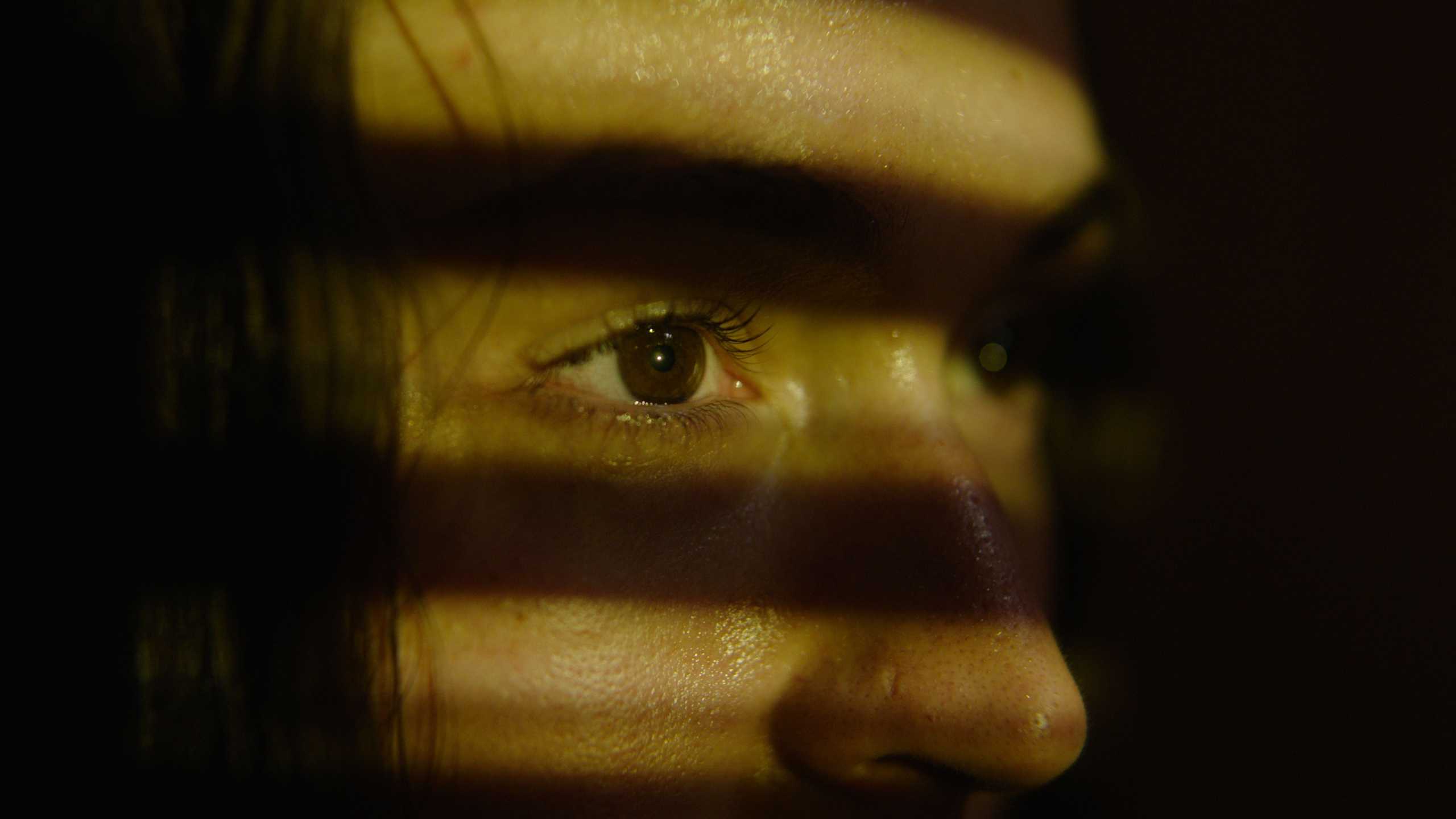 'You'll Never Find Me' Review - A Refreshing Australian Fright - Geek ...