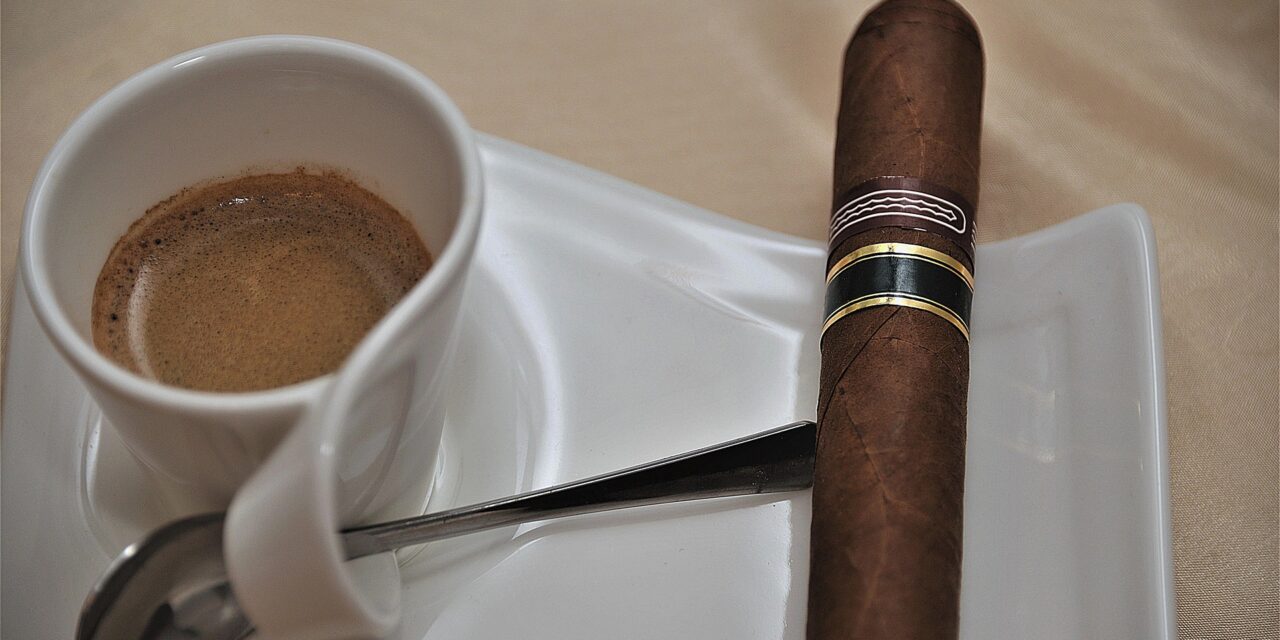 Cigar Types and How to Find Your Perfect Stick | Cigar Informer