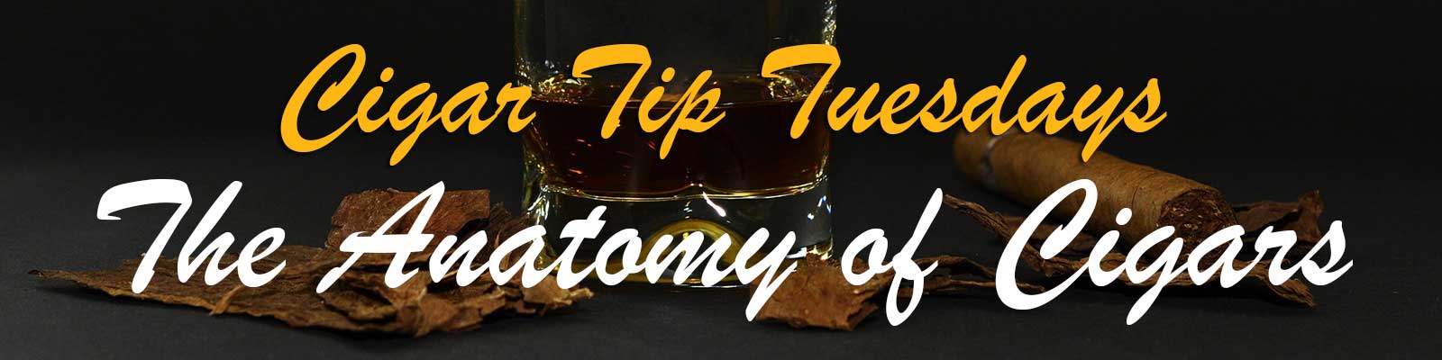 The Anatomy of Cigars | Cigar Informer