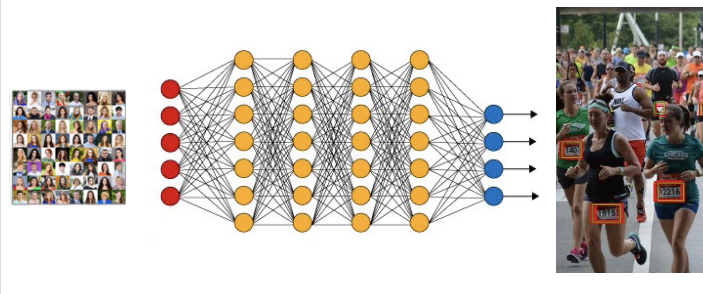 Understanding the Flashframe Tagging Workflow