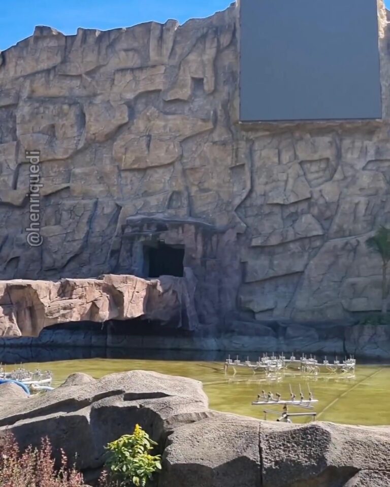 Novas imagens do Animália Park (Cotia/SP) – HapFun